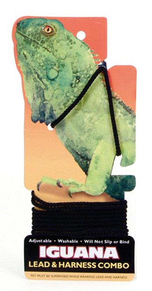 Coastal Small Animal Lead and Harness Iguana – Pet Supplies