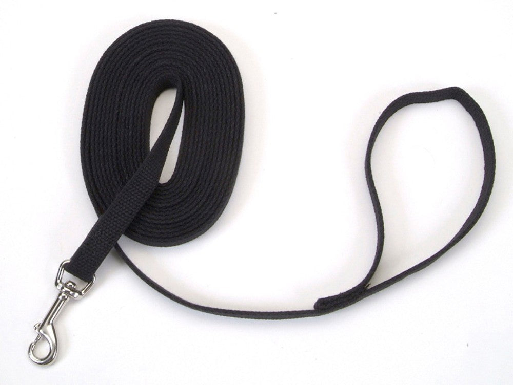 Train Right Cotton Web Training Dog Leash Black 1ea/5/8 In X 20 ft – PDS